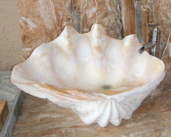 Giant Clams Shells & Sinks Clean | Giant clam, Beach house interior ...