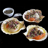 Cooking, Baking Seashells - Food And Dishwasher Safe