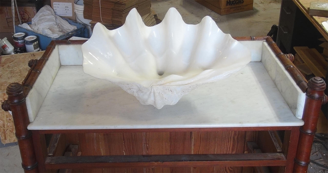 Giant Clams Shells & Sinks Clean